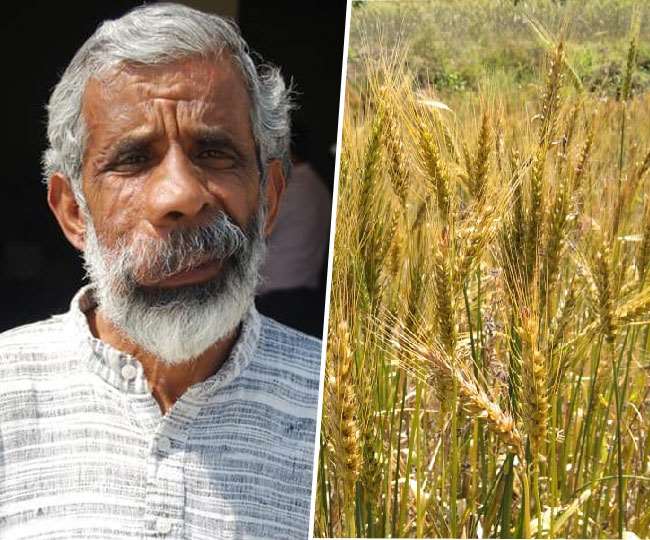 'बीज बचाओ आंदोलन' के संयोजक विजय जड़धारी ने बिना खेत जोते तैयार की ...