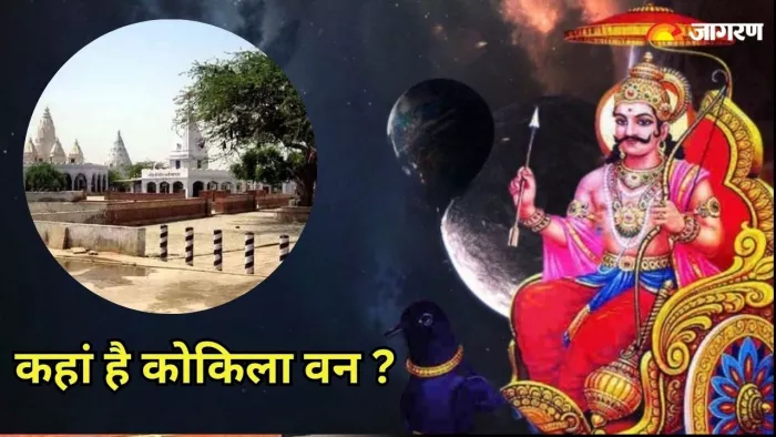 Kokila Forest: कहां है शनिदेव को समर्पित कोकिला वन और क्या है इसका ...