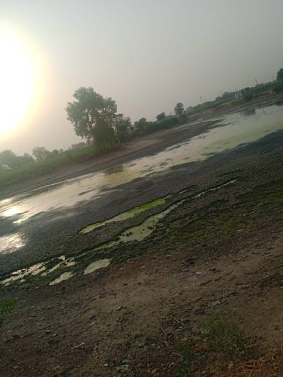 रिठौरी में बढ़ेगा जलस्तर, विकसित होगी हरियाली - water laval crisis in ...