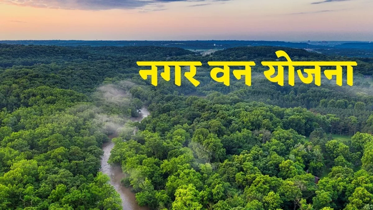 Jharkhand News: झारखंड में 8 जून से शुरू होगी 'नगर वन योजना'.... रांची ...