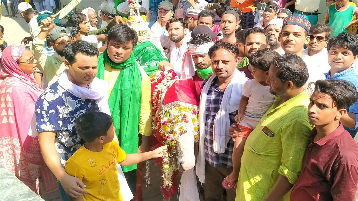 अकीदत के साथ निकाला गया दुलदुल का जुलूस - The historical procession of ...