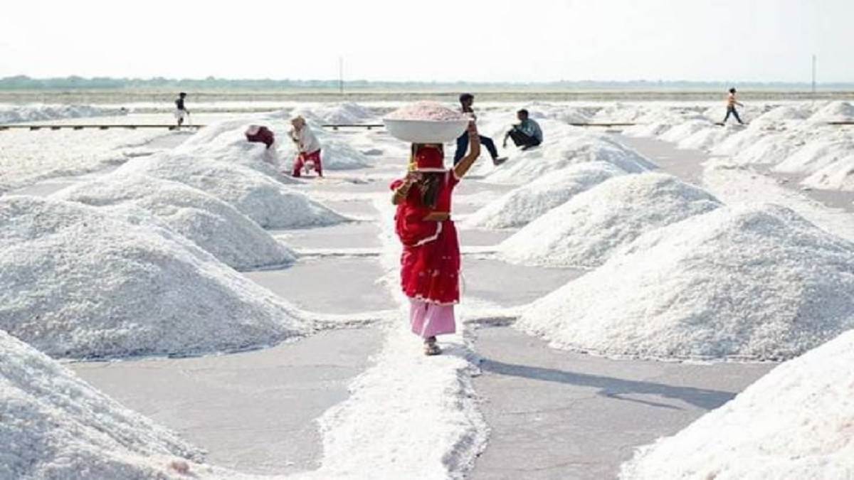 अमेरिका समेत 76 देश खाते हैं भारत का नमक, देश में गुजरात सबसे बड़ा ...