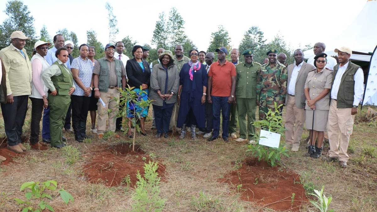 Kenya Planting Trees: केन्या में 15 अरब पेड़ लगाने के लिए छुट्टी की ...