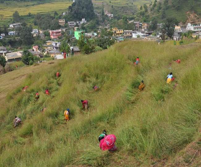 किरसाण खेती से जोड़ने की अनूठी प्रतियोगिता - Kirsan competition is ...