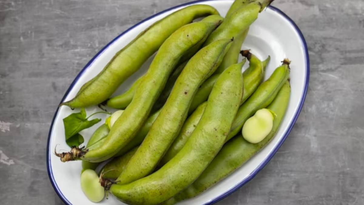 Sem Phali Ke Fayde: मोटापा कम करना है या फिर नींद न आने की प्रॉब्लम ...