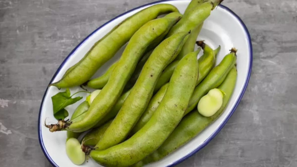 Sem Phali Ke Fayde: मोटापा कम करना है या फिर नींद न आने की प्रॉब्लम ...