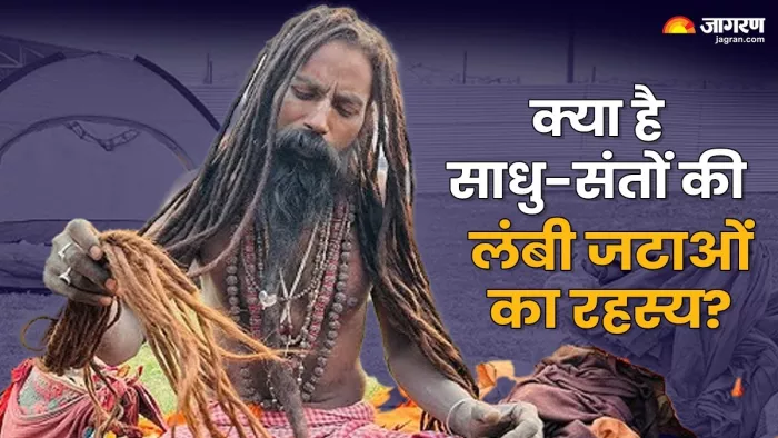 Sadhu Long Hair: क्यों रखते हैं साधु-संत लंबी जटाएं? वजह जानकर रह ...