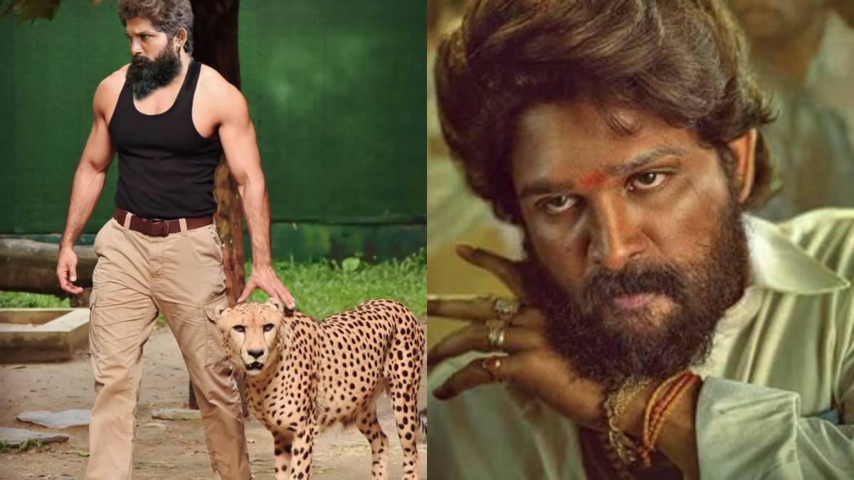 Pushpa 2: पुष्पा 2 ने रिलीज से पहले ही की तगड़ी कमाई!, आरआरआर को छोड़ा ...