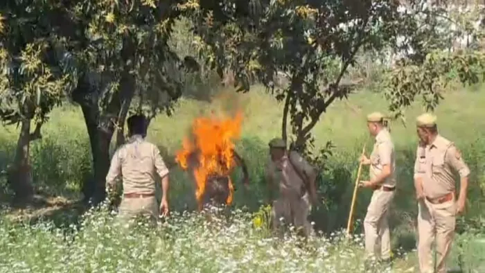 खेत में गई थी टीम, SDM के सामने ही किसान ने खुद को लगा ली आग; ऊंची ...