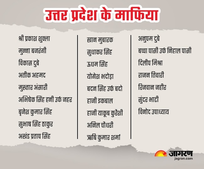 Who is Mafia: माफिया किसे कहा जाता है, यह शब्द कहां से आया; पढ़ें हर ...