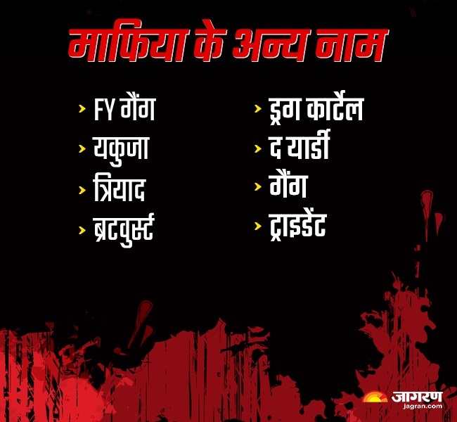 Who is Mafia: माफिया किसे कहा जाता है, यह शब्द कहां से आया; पढ़ें हर ...