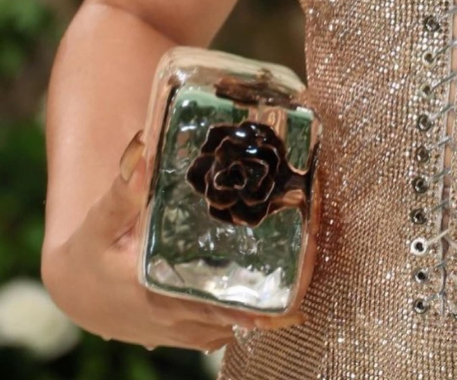 Camila Cabello Ice Purse: बर्फ से बना पर्स लेकर Met Gala पहुंचीं कैमिला ...