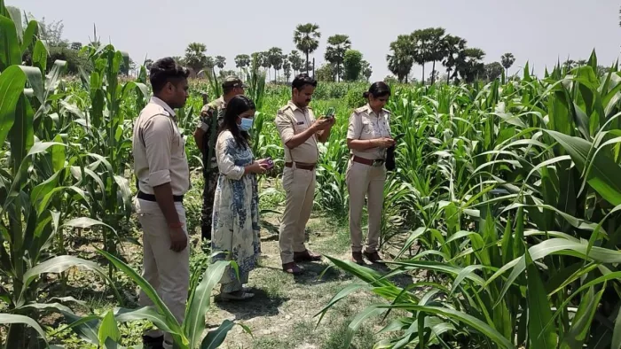 हाजीपुर में मक्के के खेत में चोकर की बोरी में बंद मिला विवाहिता का शव ...