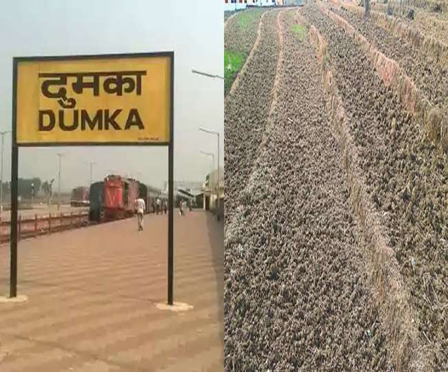 Santal Pargana Pramandal: दो साल के लिए अविक्रयशील कृषि भूमि का न्यूनतम ...