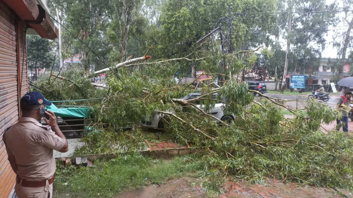 Rain in Roorkee: रुड़की में हो रही है भारी बारिश, कॉलोनी के गेट पर गिरा पेड़; बिजली भी हुई गुल ...