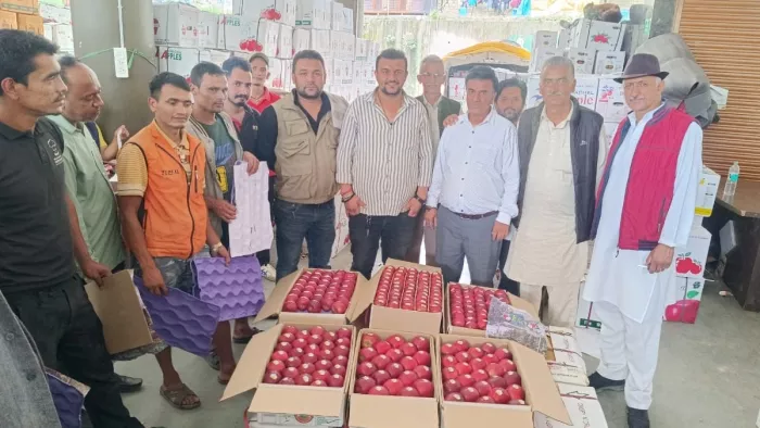 Himachal Pradesh News: हिमाचल में जमकर हो रही सेब और नाशपाती की बिक्री ...