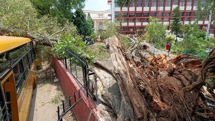 चंडीगढ़ कान्वेंट स्कूल हादसा: 2 महीने पहले आज ही के दिन गिरा था हेरिटेज ...