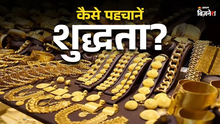 Gold Investment: गोल्ड पर कैरेट नहीं, सिर्फ नंबर लिखे हों तो ऐसे ...