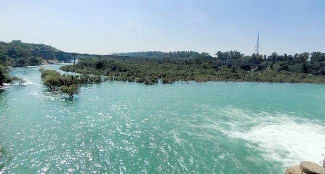 भाखड़ा बांध में गिरा जल स्तर, 15313 क्यूसिक पहुंची पानी की आवक - Water ...