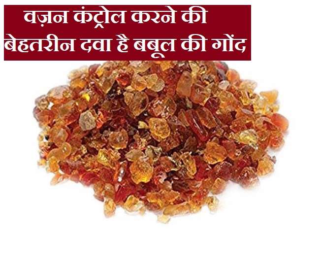 Health Benefits Of Babool Gond: शुगर कंट्रोल करने के साथ ही वज़न भी ...