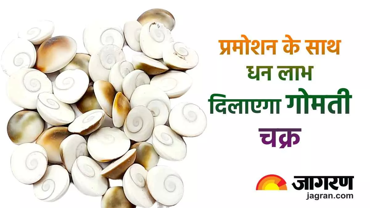 Gomti Chakra Upay: गोमती चक्र से करें ये खास उपाय, पाएं अपार धन के साथ ...