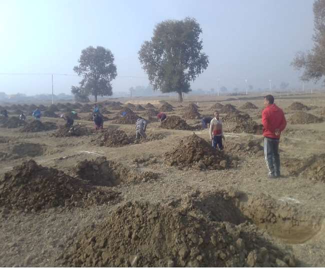 चकरोई में बन रही जम्मू संभाग की सबसे बड़ी फ्रूट नर्सरी, पांच लाख फलों ...