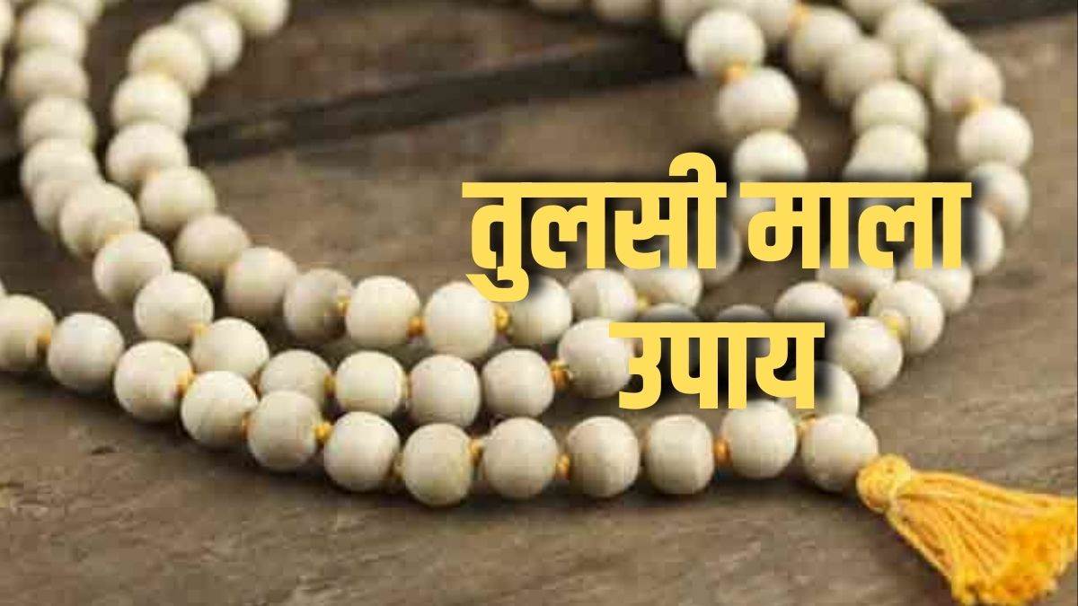 Tulsi Mala Benefits And Important Rules Of Wearing Tulsi, 49% OFF