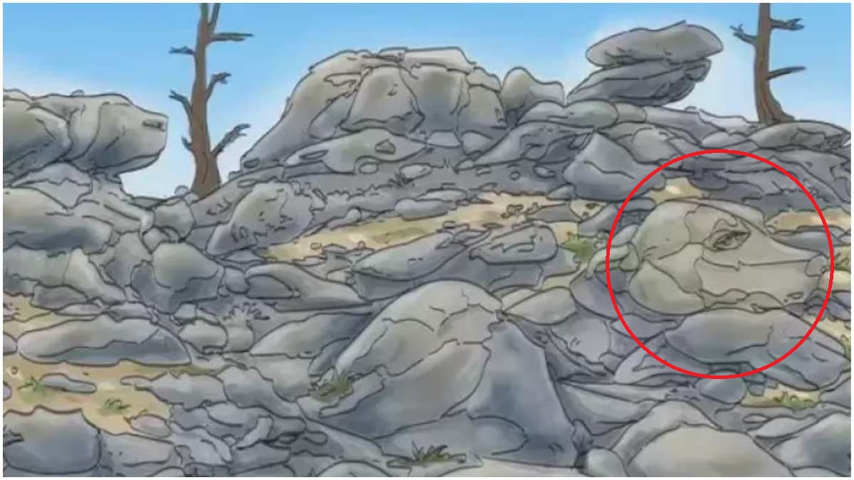 Optical Illusion: आपका चैलेंज है तस्वीर में छिपे कुत्ते को ढूंढ़ना, वह ...