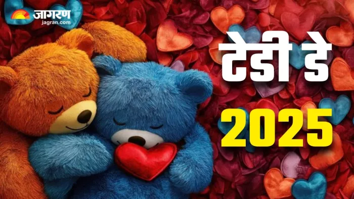 Teddy Day 2025: किसी को गिफ्ट करने से पहले सोच समझकर चुनें टेडी बियर ...