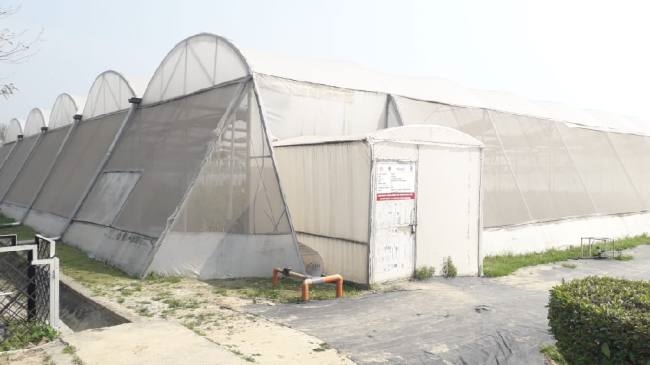 पोली हाउस और नेट हाउस की कमियां दूर कर तैयार किया पोलीनेट - The design ...