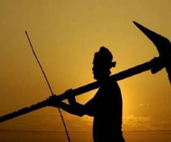 हरियाणा के किसानों के लिए राहत भरी खबर, मेरी फसल मेरा ब्‍यौरा पोर्टल फ ...