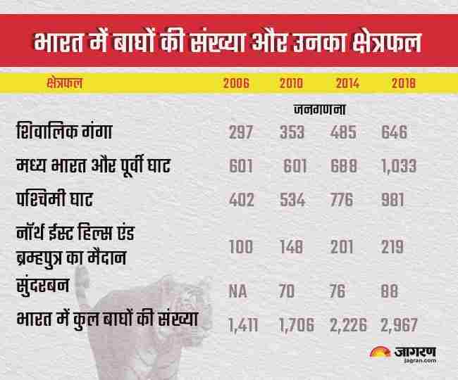 Project Tiger: 1973 में शुरू हुआ था टाइगर प्रोजेक्ट, भारत को मिली बड़ी ...