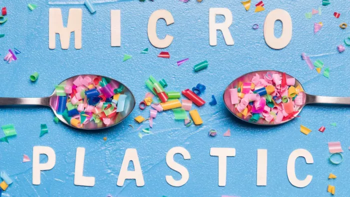 रोजमर्रा की चीजों के जरिए शरीर में जा रहा Microplastics, ऐसे कर सकते ...
