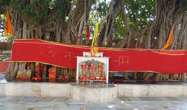 Vat Savitri Vrat 2021: आज बरगद या वट वृक्ष की क्यों करते हैं पूजा ...