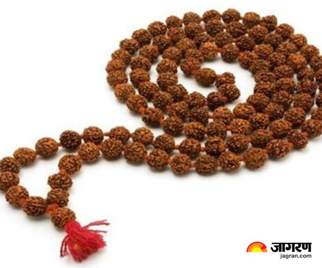 Rudraksha Mala: रुद्राक्ष की माला को धारण करते समय इन बातों का रखें ...