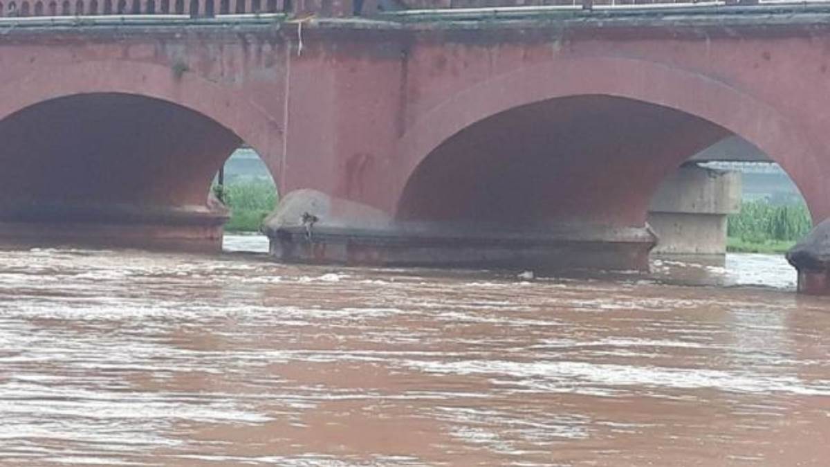 Ambala News: पहाड़ों में बारिश से मारकंडा नदी में पहुंचा 22 हजार ...