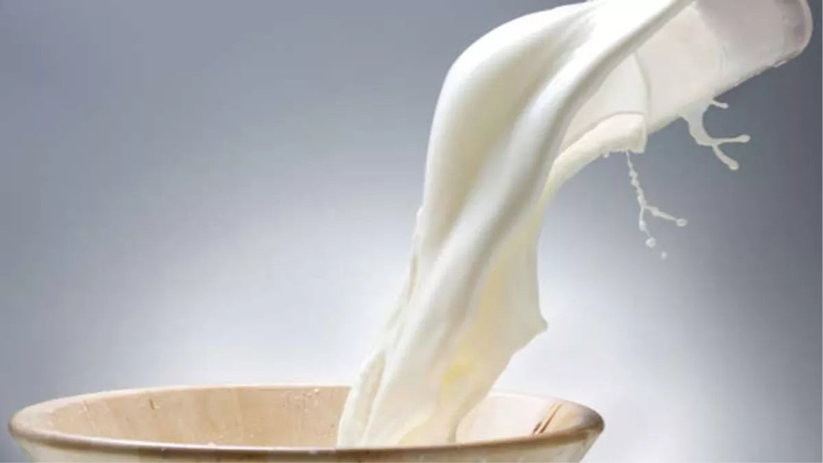 पशुओं में फैल रही बीमारियां, 15 मिनट से अधिक उबालकर पीएंगे दूध तो ...