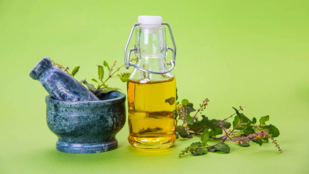 Tulsi Benefits: रोजाना खाली पेट तुलसी का पानी पीने से शरीर को मिलते हैं ...