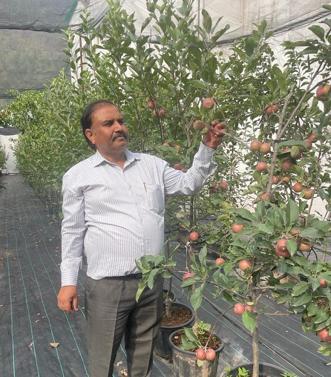 Apple Pot plantation Techniques : फ्रांस, जर्मनी की तरह अब उत्तराखंड ...