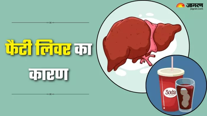 दबे पांव आपके लिवर को नुकसान पहुंचा रही यह ड्रिंक, डॉक्टर ने बताया कैसे ...