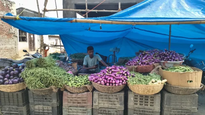 Vegetable Prices: बिहार में हरी सब्जियों की कीमत लाल, रसोई का बजट तीखा ...