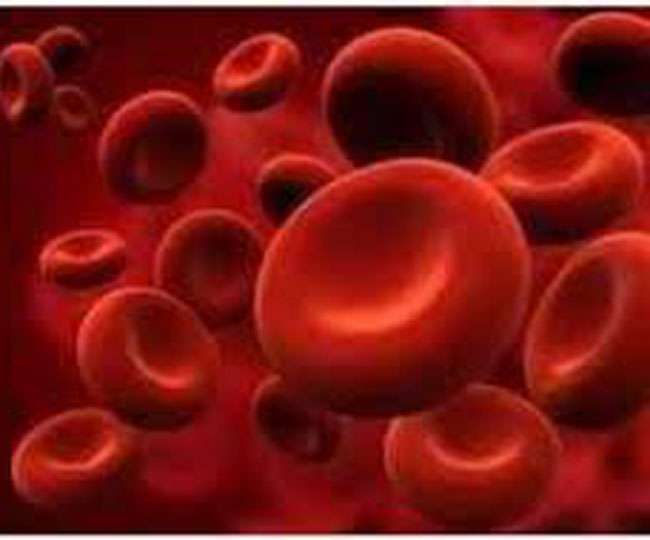 Misshapen red blood cells - wrapnipod