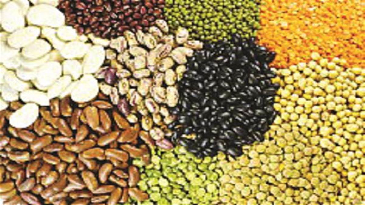 मोटे अनाज : उत्तराखंड में रकबा घटा, लेकिन तीन वर्ष में दोगुना बढ़ गई ...