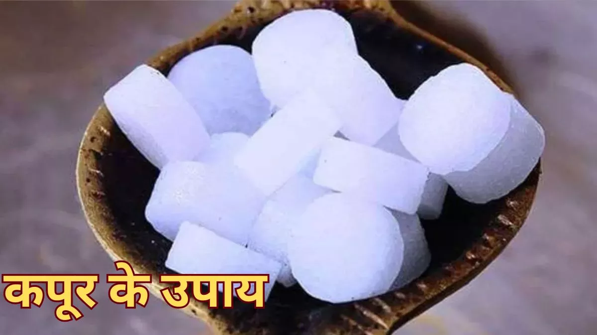 Vastu Tips: जिंदगी भर नहीं होगी धन की कमी, कपूर के साथ मिलाकर जलाएं ये ...