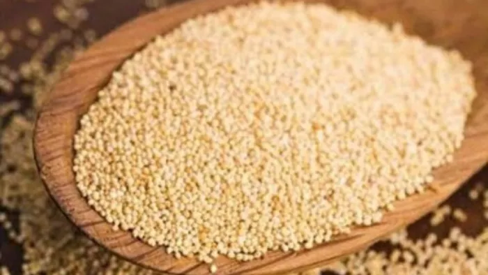 Khas Khas Benefits: गुणों की खान है खसखस, कब्ज समेत इन समस्याओं से ...