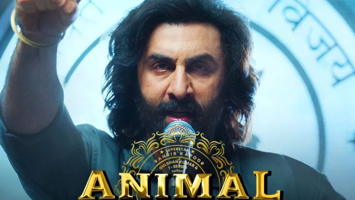 Animal Box Office Collection Day 8: हिंदी बेल्ट में 'एनिमल' की चांदी ...