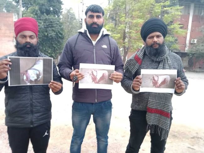 एसएसपी साहब! कसाई ने मेरे डागी की हत्या कर दी, मामला दर्ज करें - SSP ...