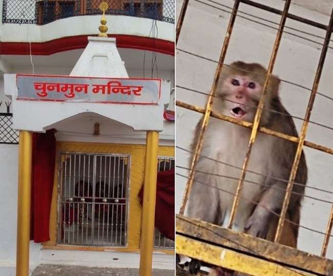 रायबरेली के दंपत‍ी की नहीं हुई संतान तो घर ले आए चुनमुन को फ‍िर जो हुआ ...