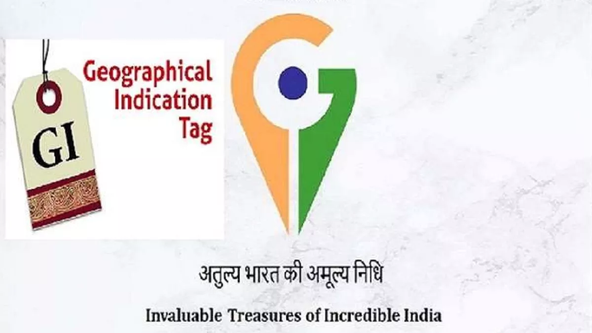 GI Tag: निकोबार की पारंपरिक झोपड़ियों को मिल सकता है जीआई टैग, पर्यावरण ...