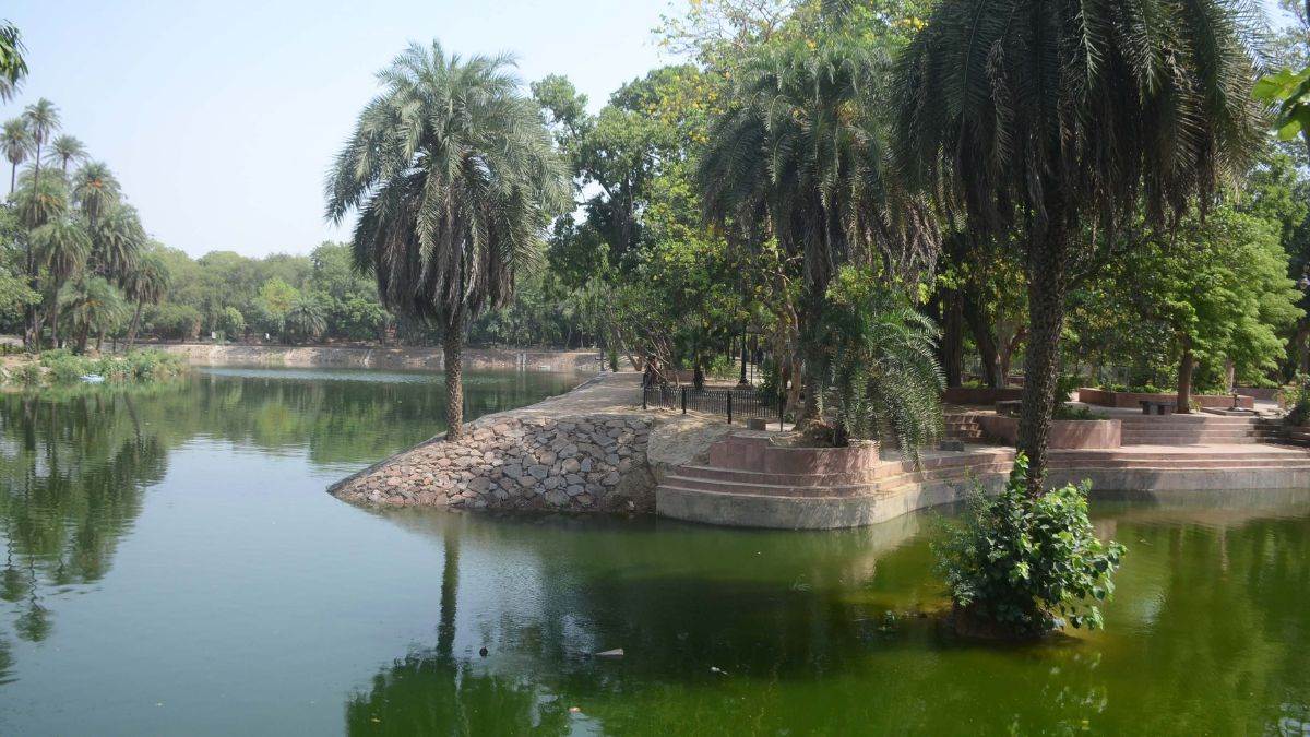 Delhi News: ऐतिहासिक रोशनआरा झील फिर हुई रोशन, ले सकेंगे लजीज व्यंजन और ...